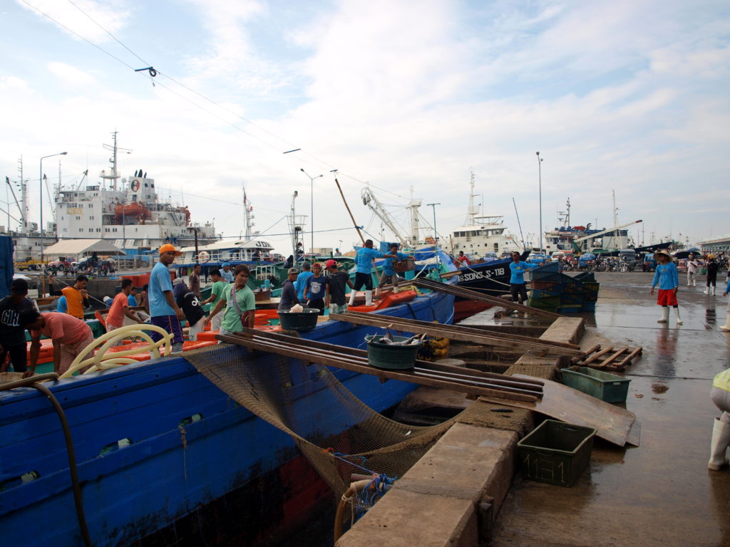 GenSan fish port 7 — Lost paths