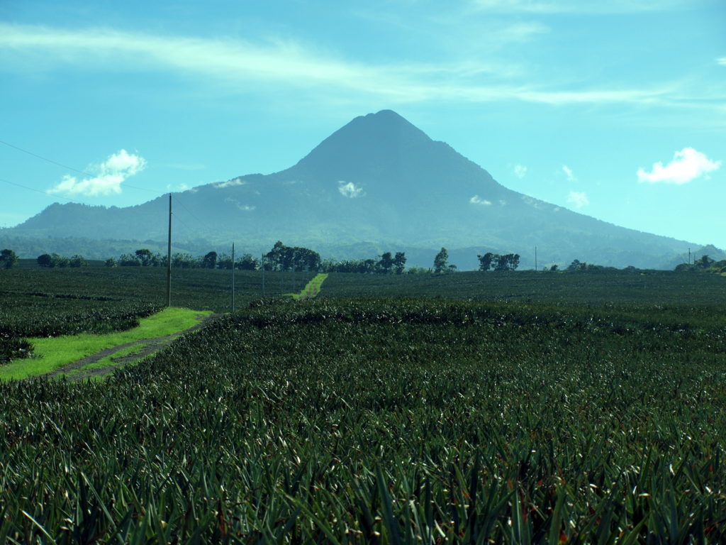 Mt Matutum 5 – Lost paths