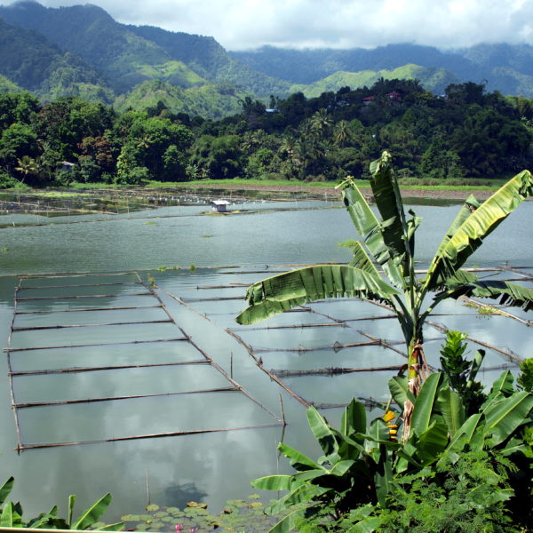 The famous Lake Sebu – Lost paths