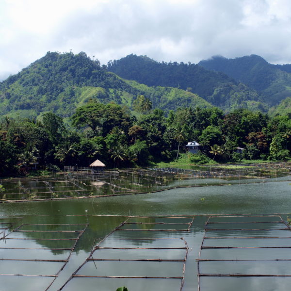 The famous Lake Sebu – Lost paths