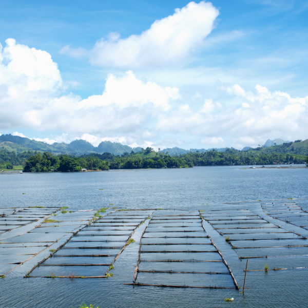 The famous Lake Sebu – Lost paths